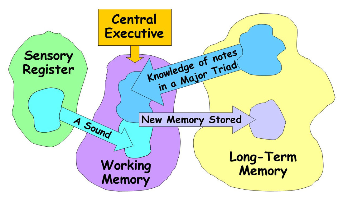 How Your Brain Works: The Learning Process - Piano-ology